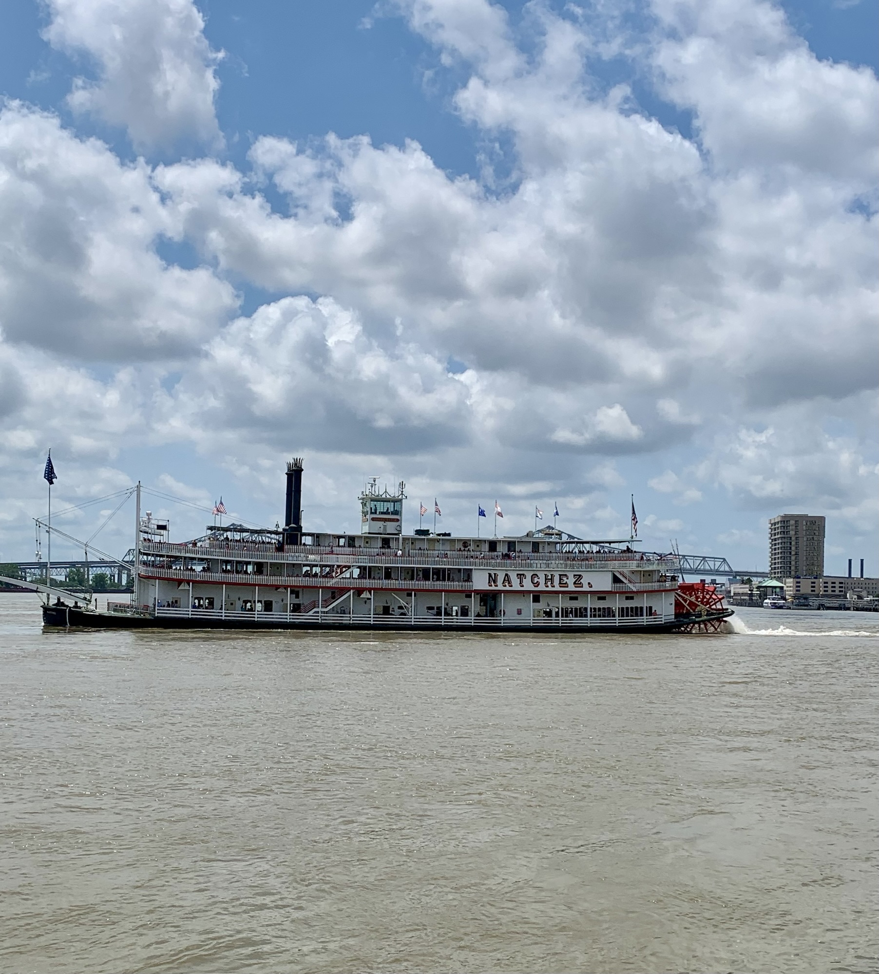 Home – Pamela Lines